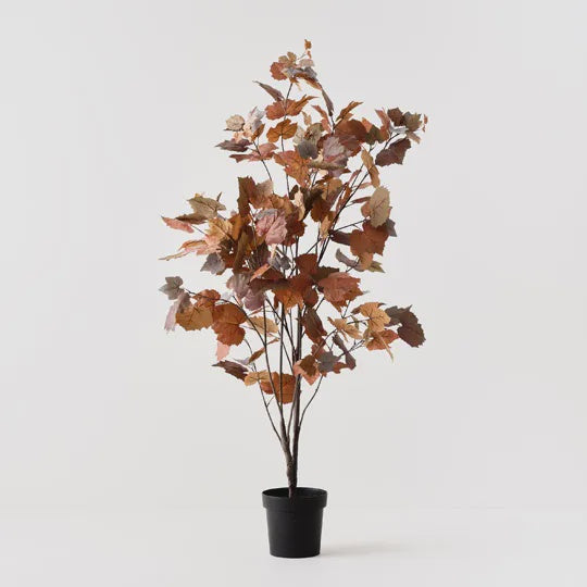 Maple Tree | Rust | 155cm– Relax & Entertain
