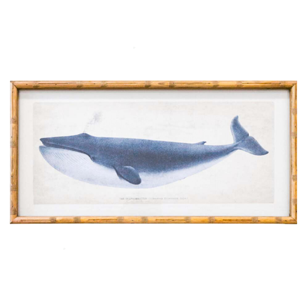 Bamboo Framed Whale | Two | 30 x 75cm– Relax & Entertain